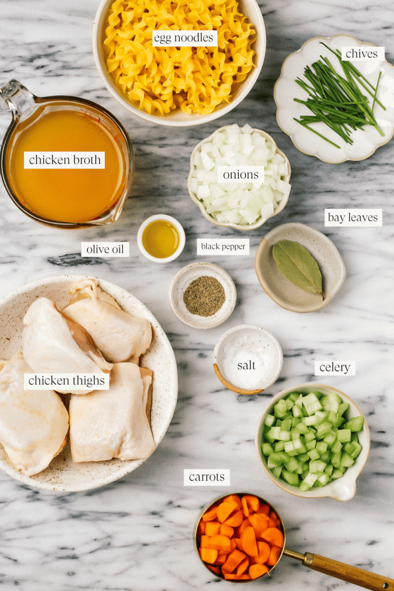 Chicken Noodle Soup – Hearty, Homemade & So Easy!